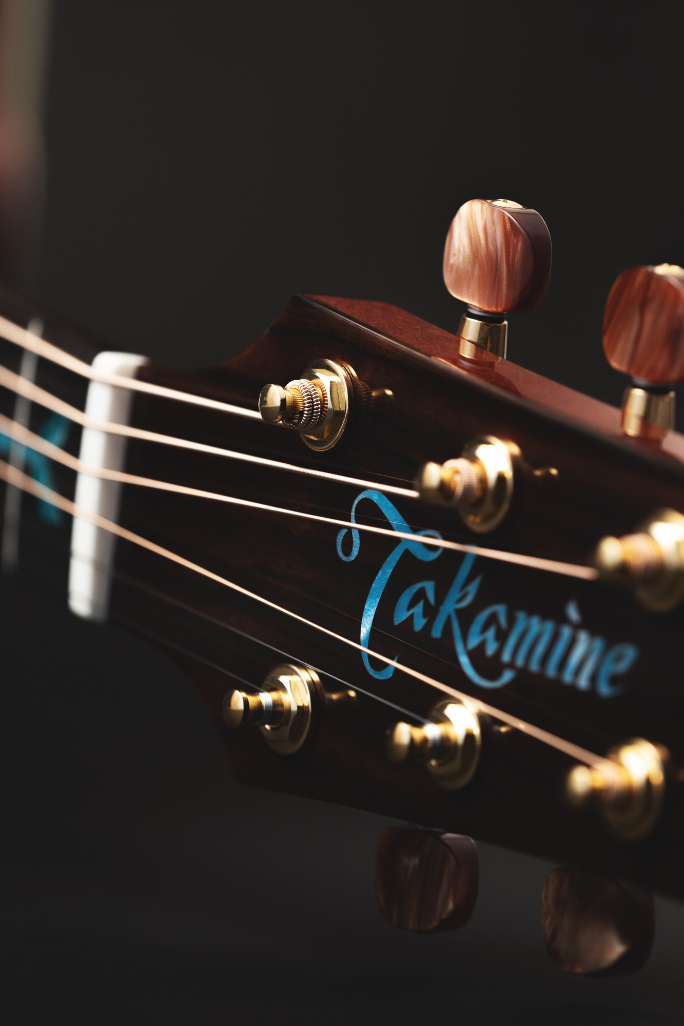 Takamine Limited 2023